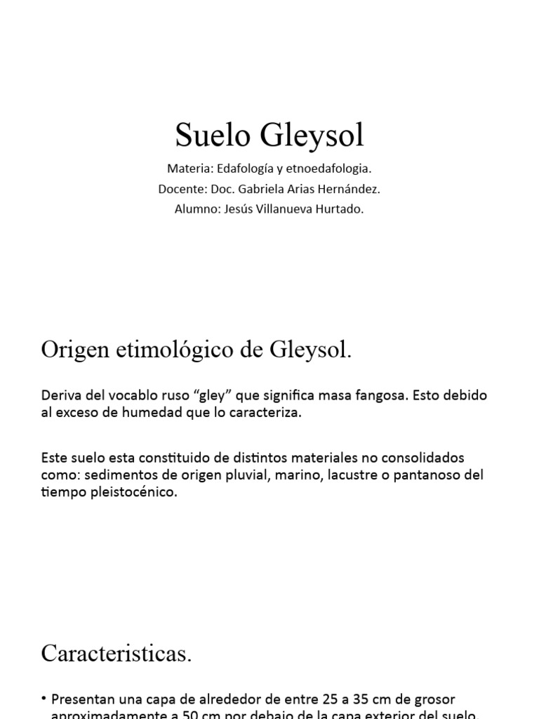 Suelo Gleysol | PDF