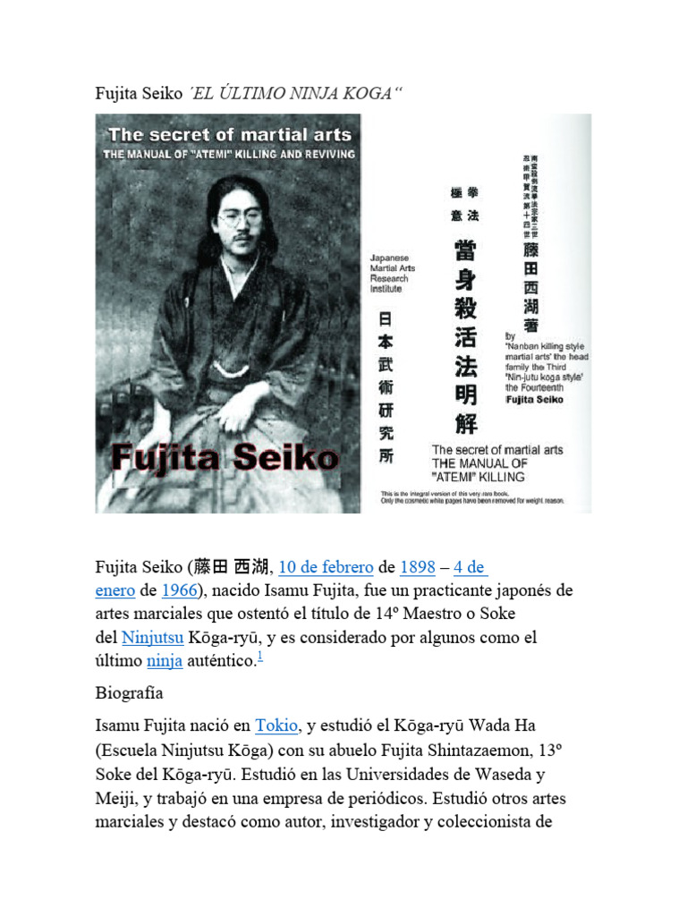 Seiko Fujita | PDF