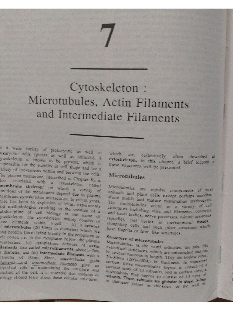 Cytoskeleton | PDF