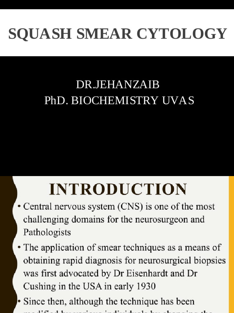 Sequashes in Smear Formation | PDF
