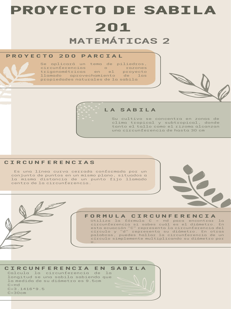 Matemáticas Sabila | PDF