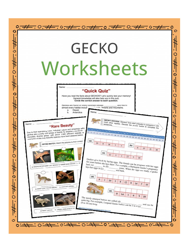 Gecko | PDF