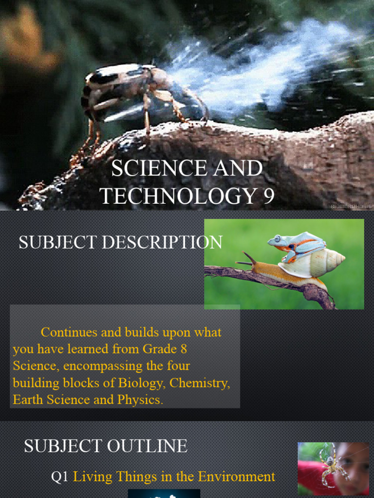 9th Grade - Orientation | PDF