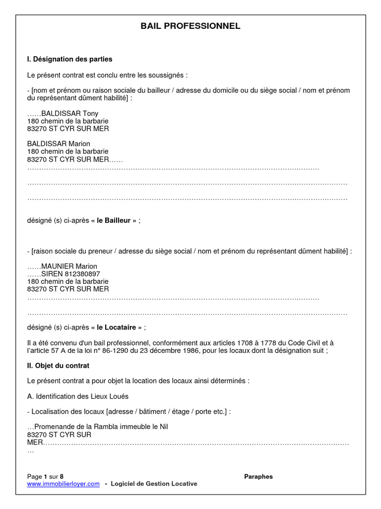 Bail Professionnel | PDF