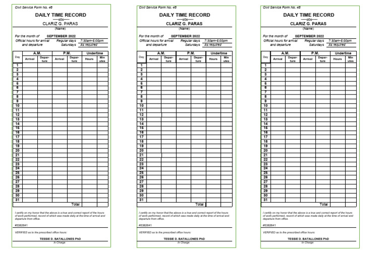 DTR-Editable-1 | PDF