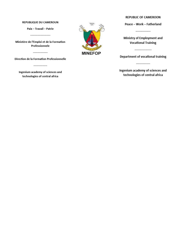 Rapport de Stage Professionnel | PDF