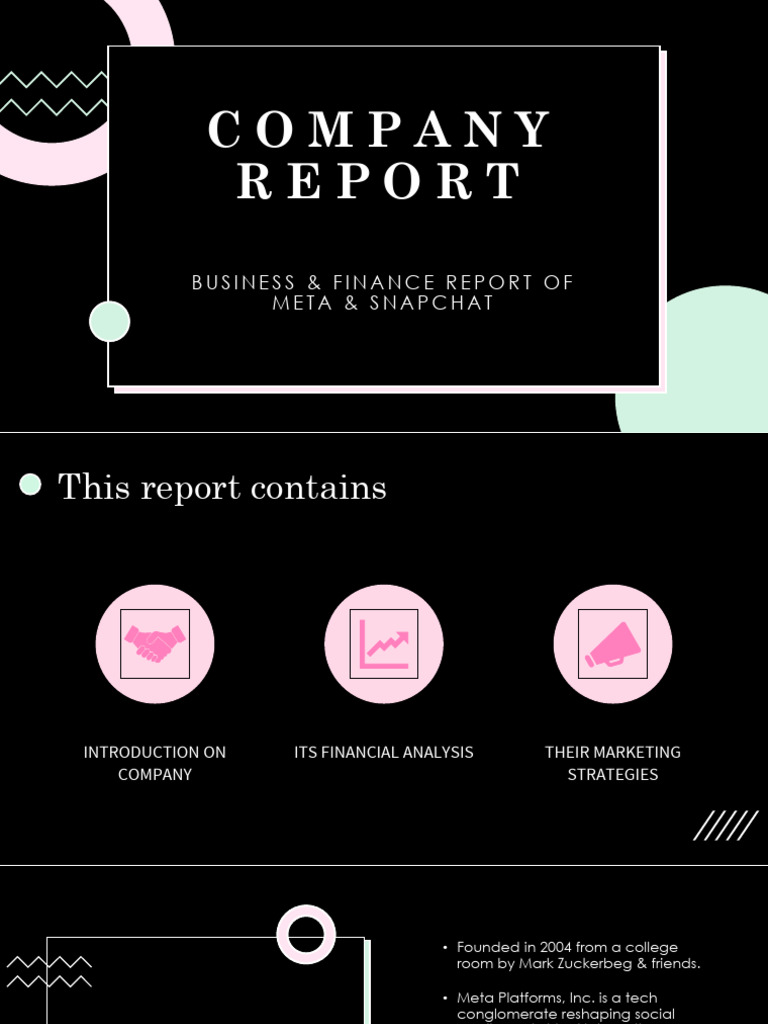 Comapny Report Final Draft | PDF