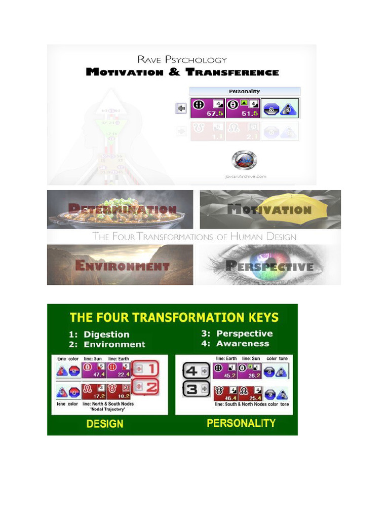 Motivation in Rave Psychology | PDF