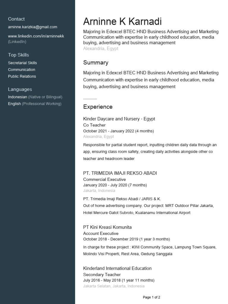 Arninne K Karnadi's Professional Profile | PDF | Business