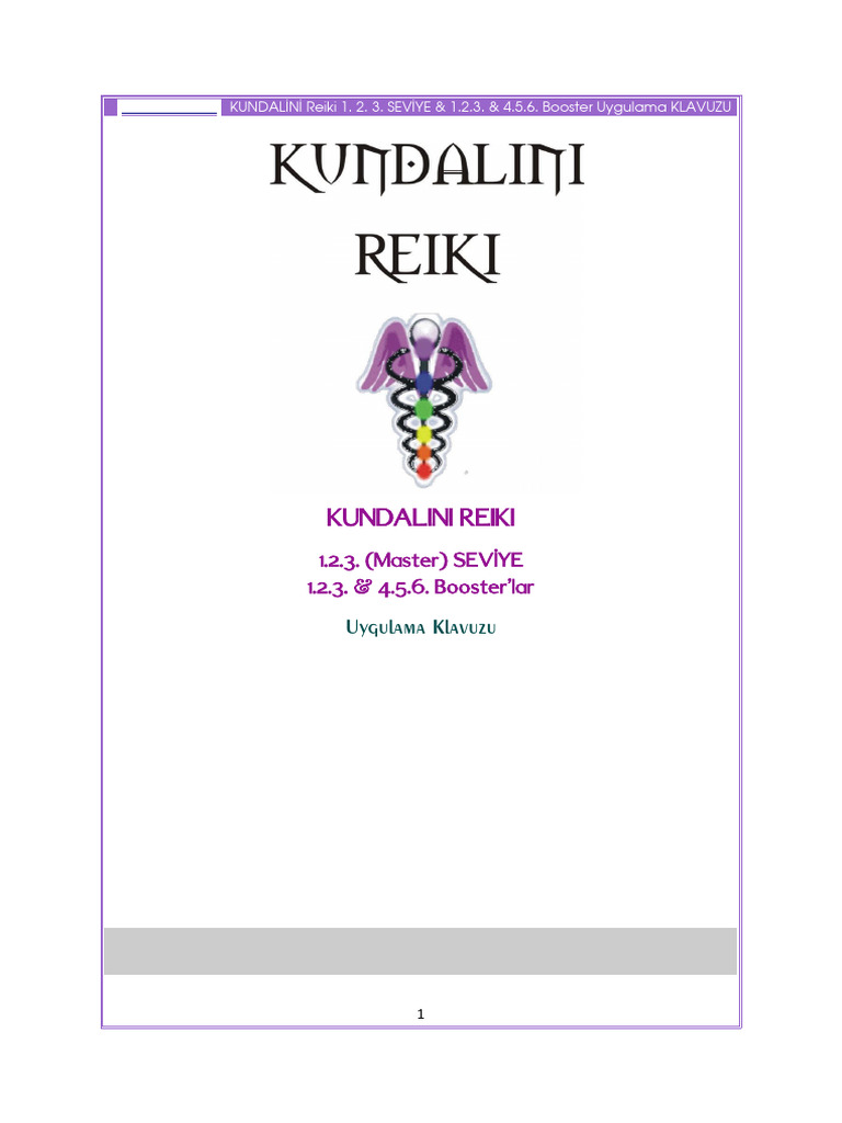 KUNDALINI 1-2-3 Ve BOOSTER 1-2-3-4-5-6 UYGULAMA - KLAVUZU - TR (PDF - Io) | PDF