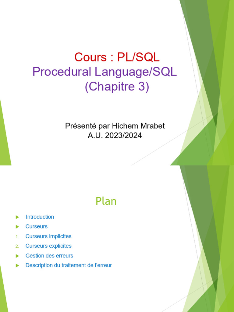 PLSQL Cours ch3 | PDF
