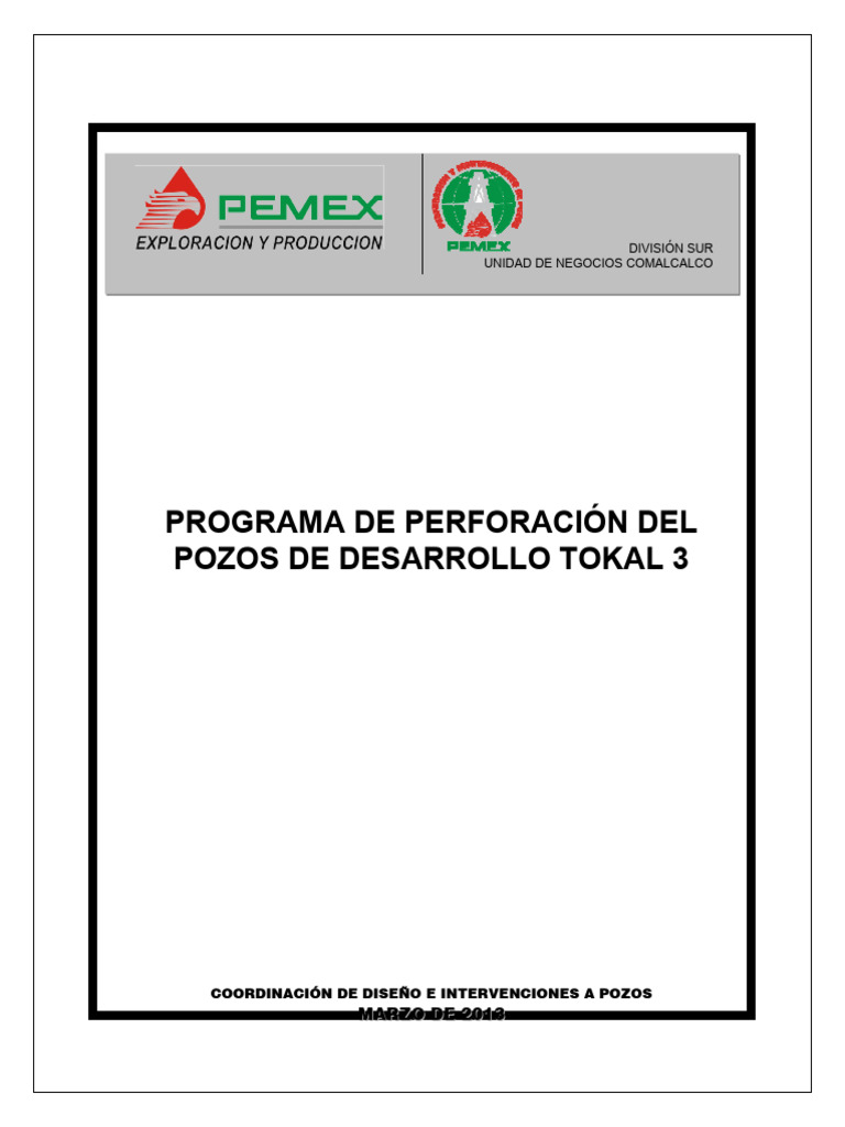Programa de Perforación Pozos Tokal 3 | PDF | Metrología | Física ...