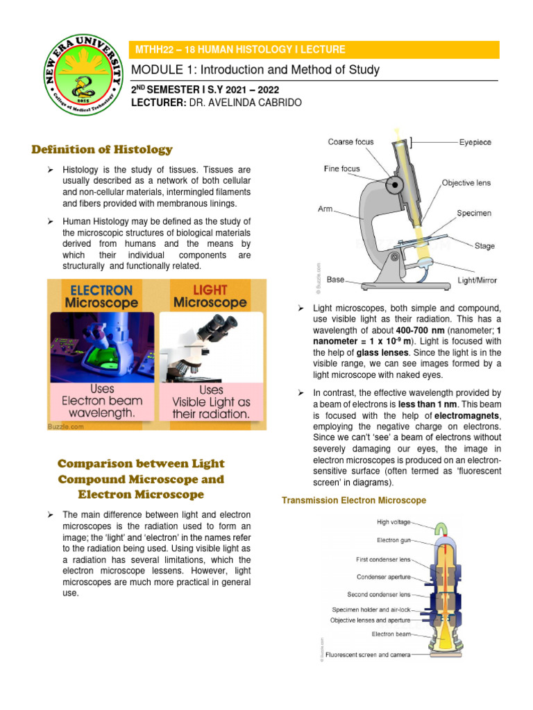 Histology and Microscopy Overview | PDF | Epithelium | Connective Tissue