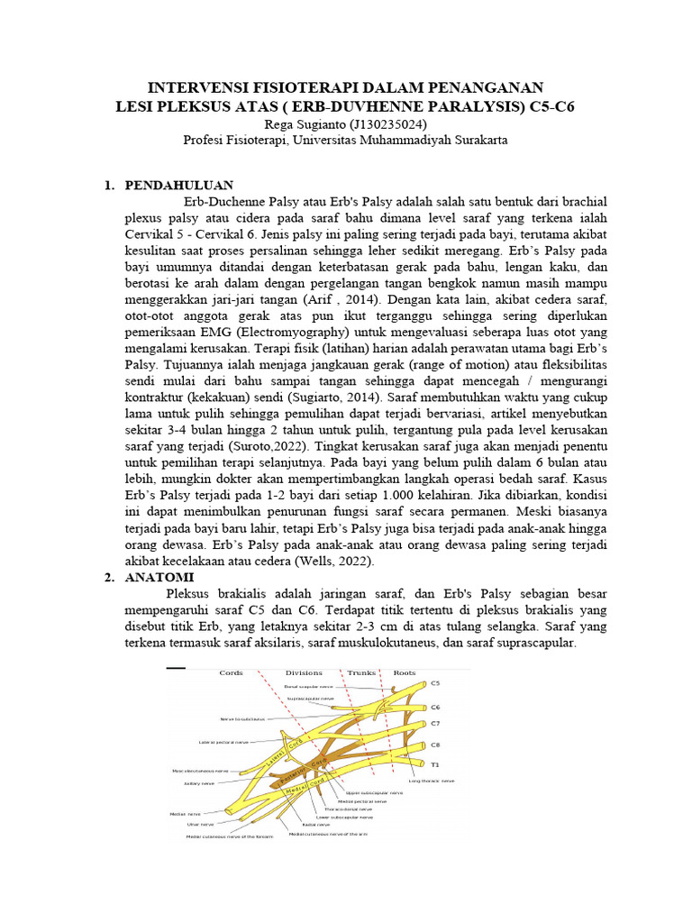 Erb's Palsy | PDF