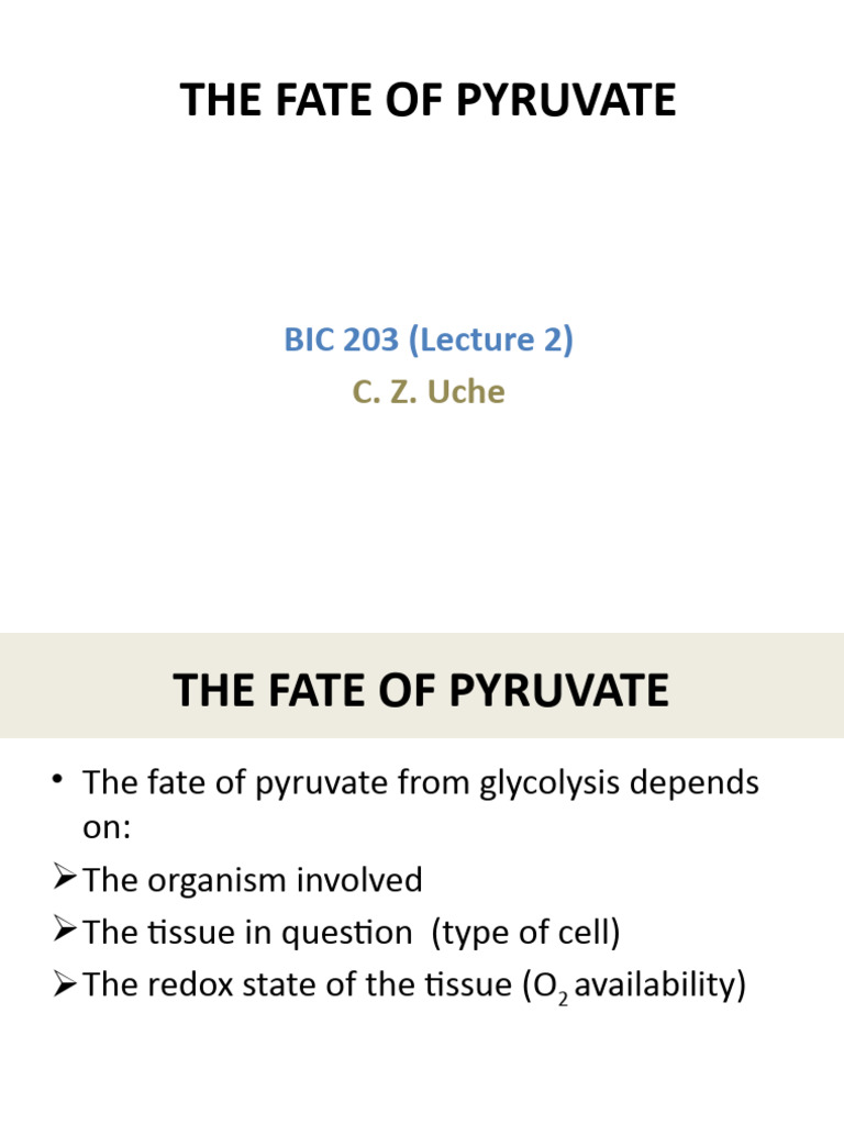 Carbohydrate Metabolism 02-The FATE of PYRUVATE | PDF | Pyruvic Acid ...