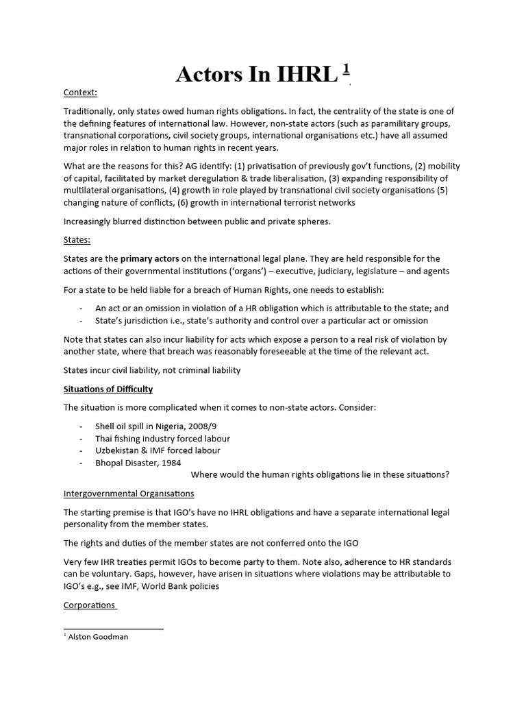 Actors in IHRL | PDF