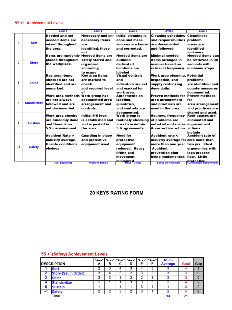 5S+1 Assessment Levels | PDF