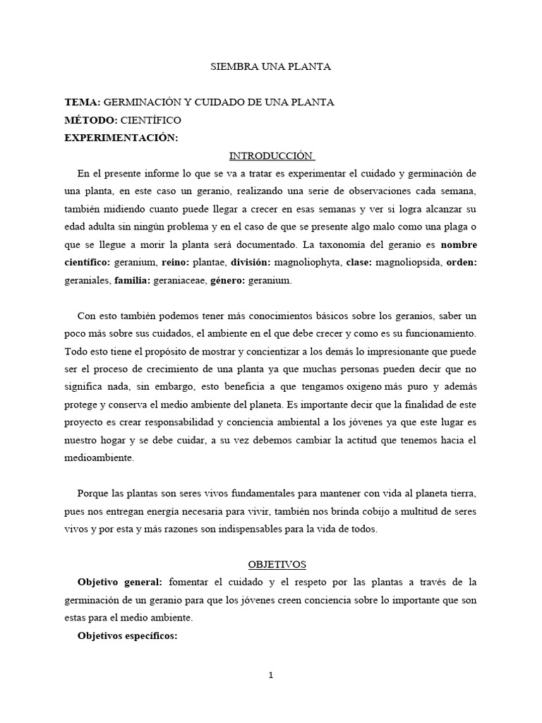Siembra Una Planta | PDF | Plantas | Entorno natural