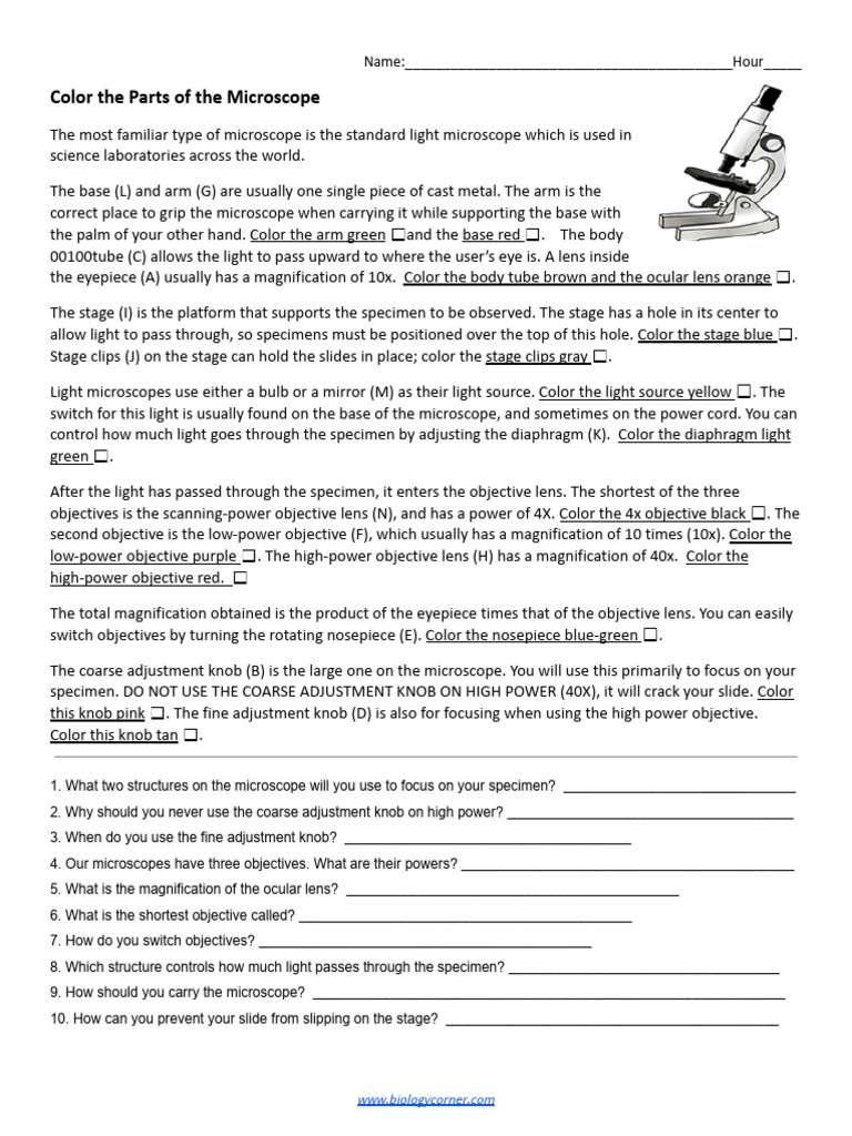 Color the Parts of the Microscope | PDF | Materials Science ...