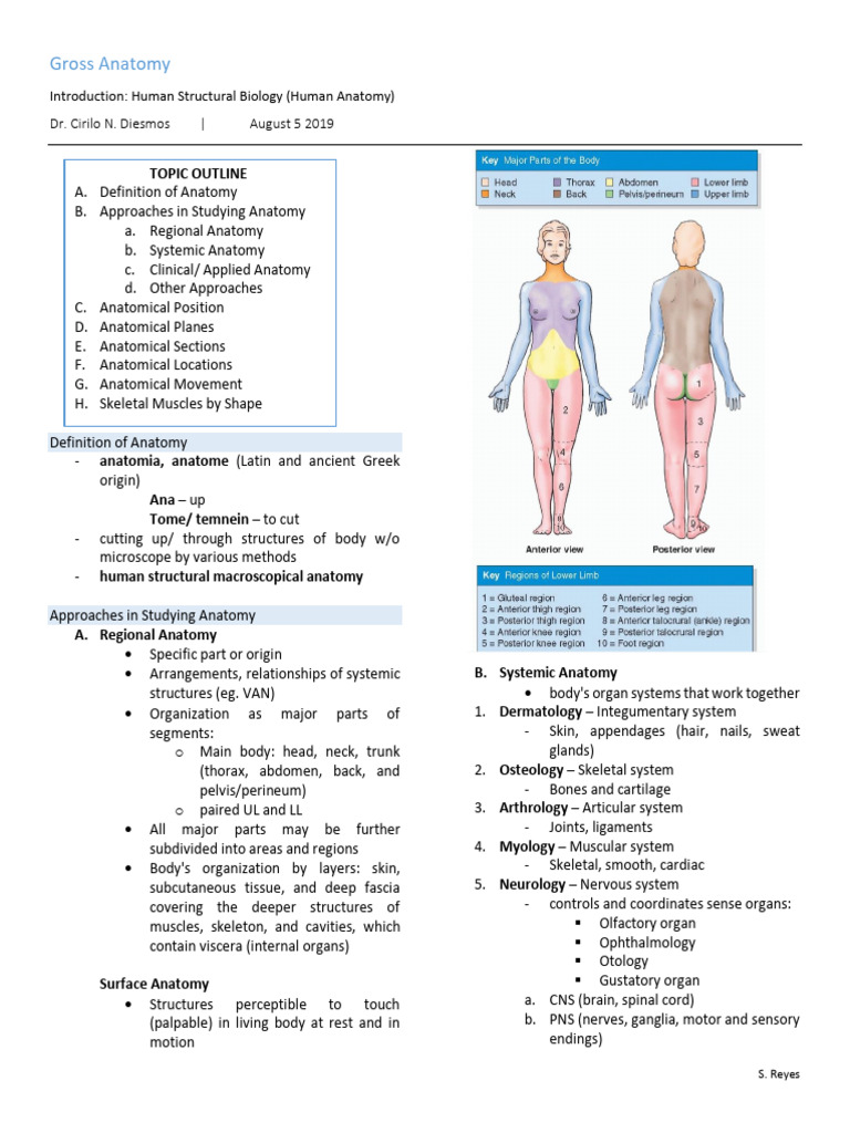 08 05 Intro To Anatomy | PDF