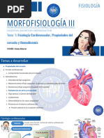 Fases Fisiopatologicas de La Neumonia | PDF | Leucocito | Sangre