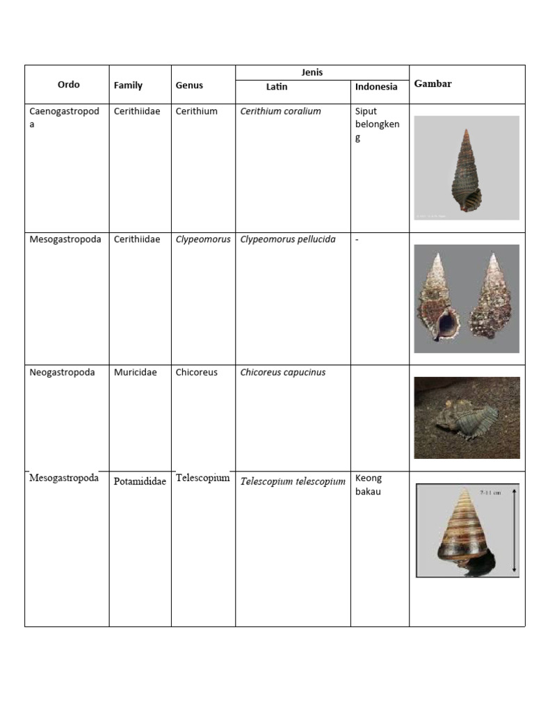 Ordo | PDF | Science & Mathematics