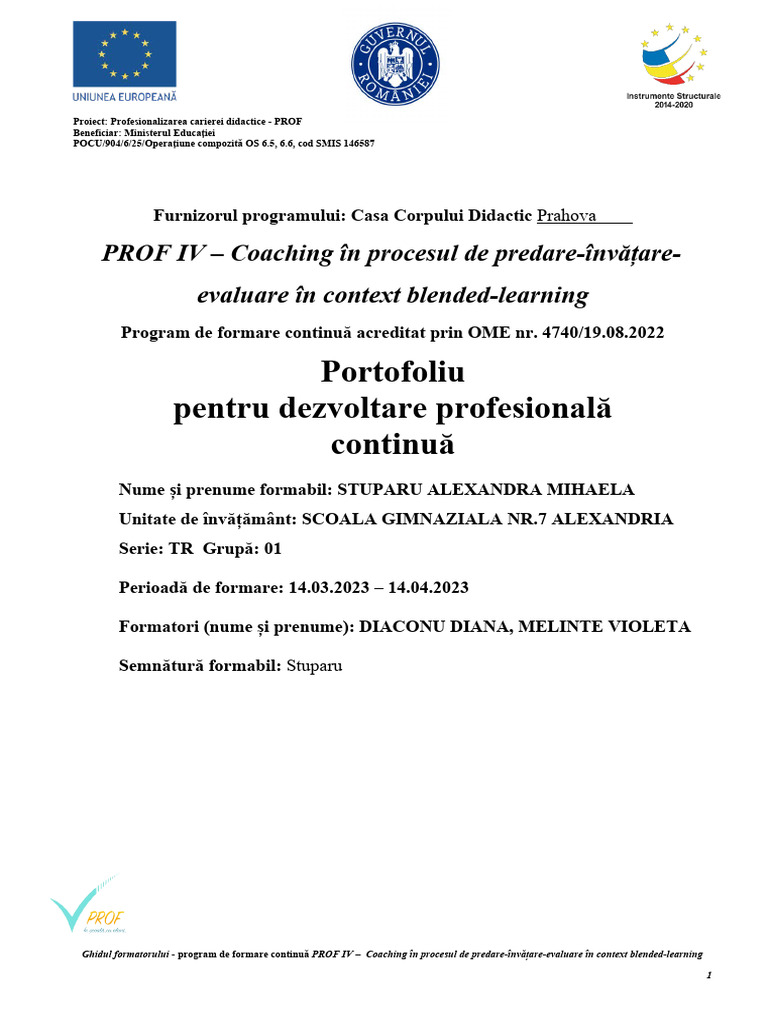 Portofoliu_PROF_IV | PDF