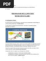 Les Curares | PDF | Acétylcholine | Synapse
