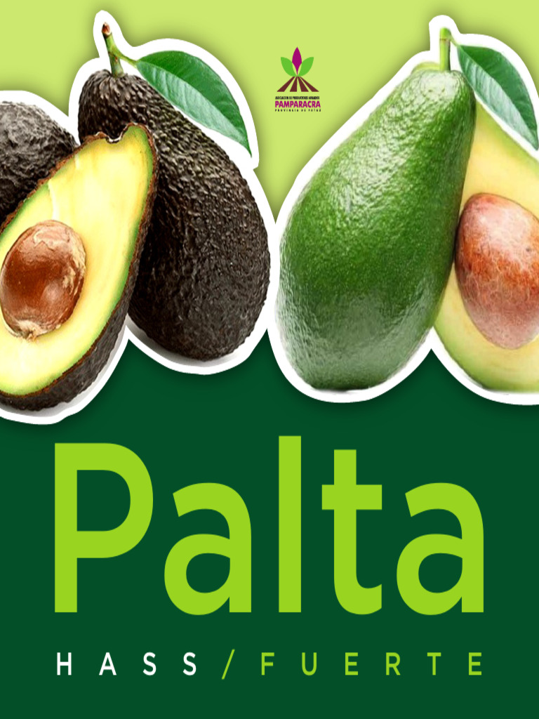 PALTA HASS Y FUERTE (Brochure Pamparacra) | PDF | Aguacate | gordo