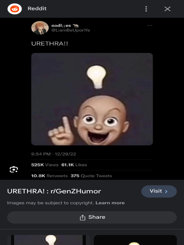 Urethra Memoji Meme - Google Search | PDF