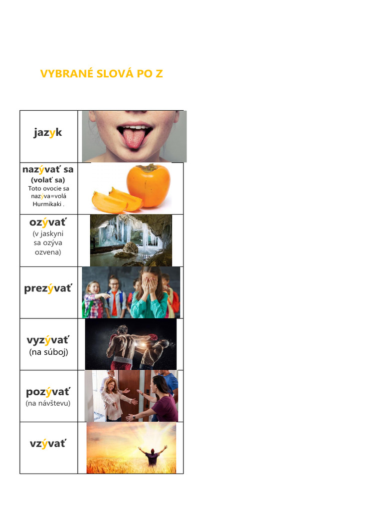 Vybrané Slová Po Z | PDF