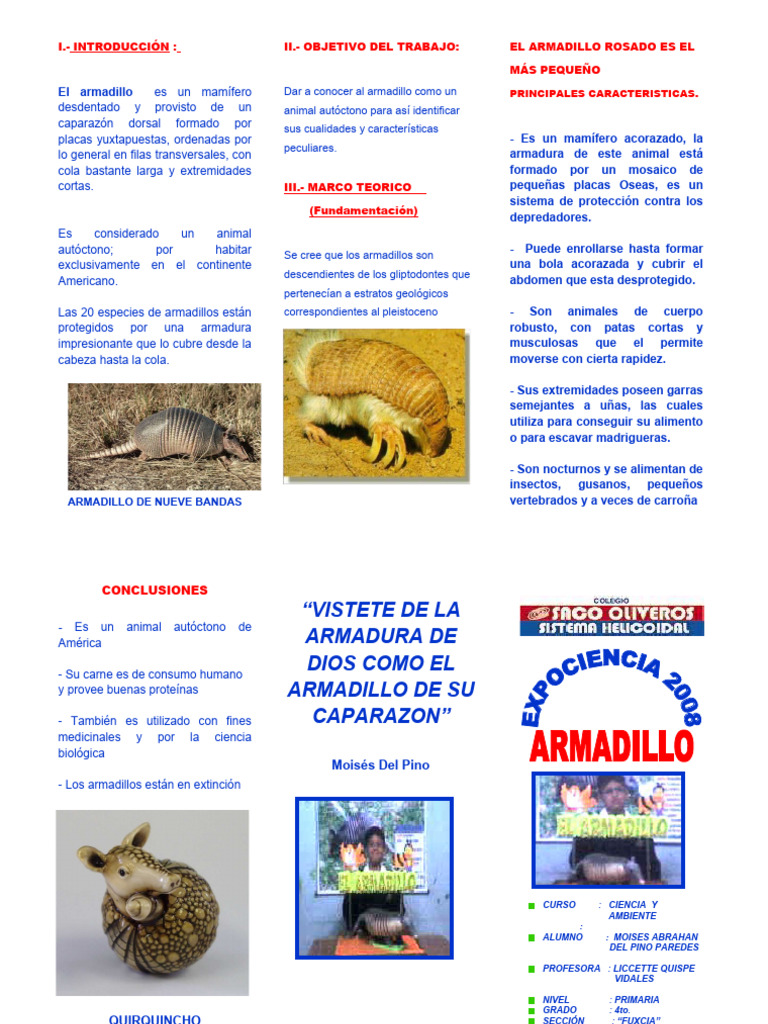 Triptico (El Armadillo) | PDF