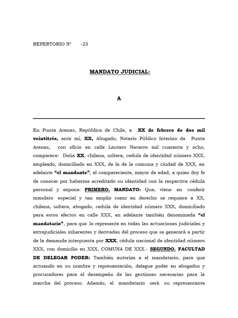 Mandato Modelo | PDF