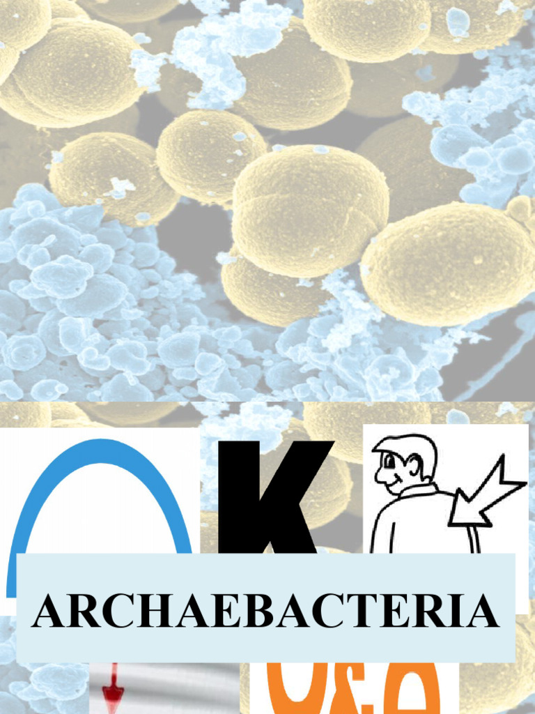 Kingdom Archaebacteria And Eubacteria Pdf 2470