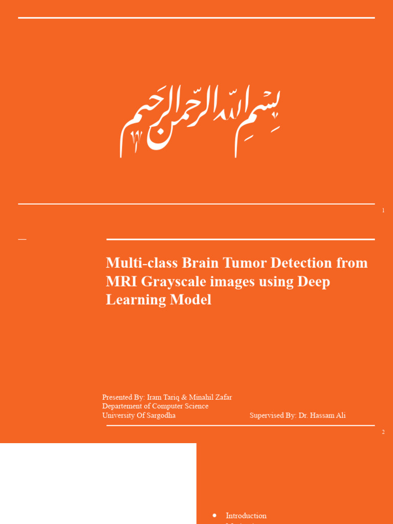 Brain Tumor Classification | PDF