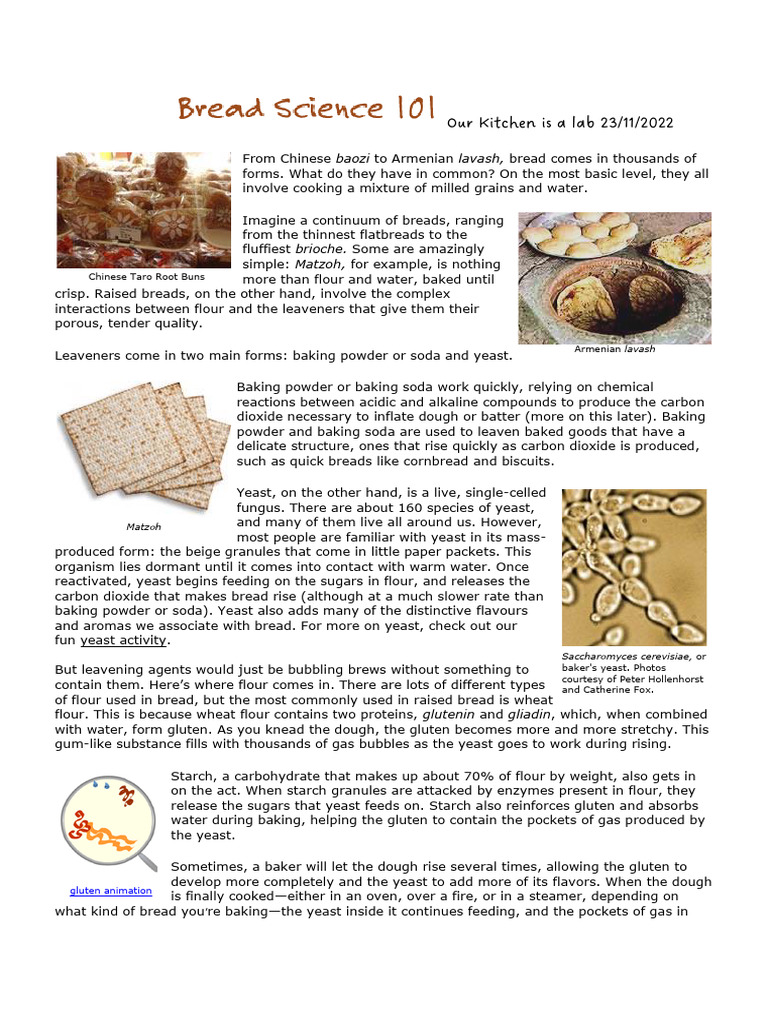 Our Kitchen Is A Lab - Bread | PDF