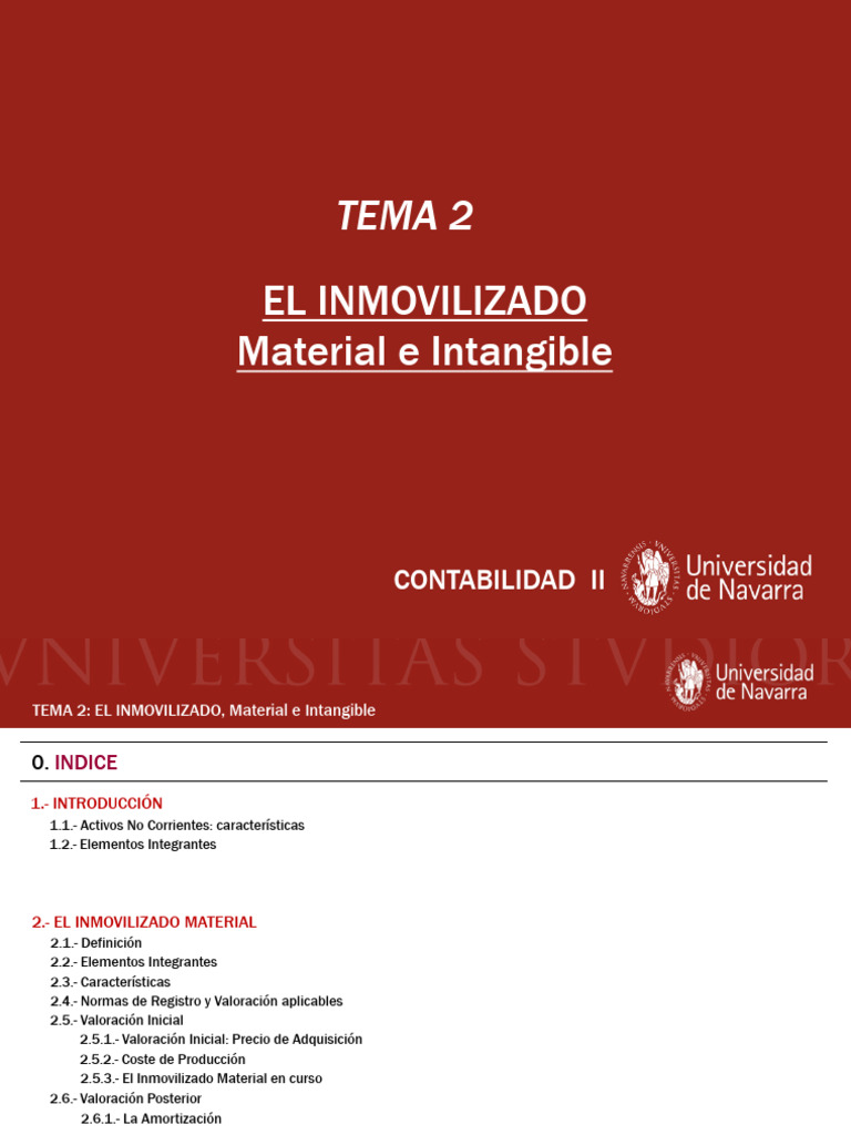 Tema 2_ INMOVILIZADO Material & Intangible-Teoría 3 | PDF
