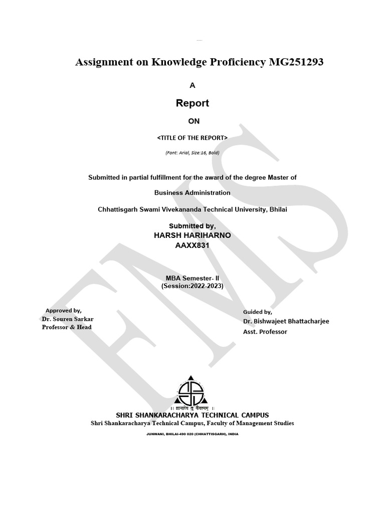 FM Project On MRF | PDF