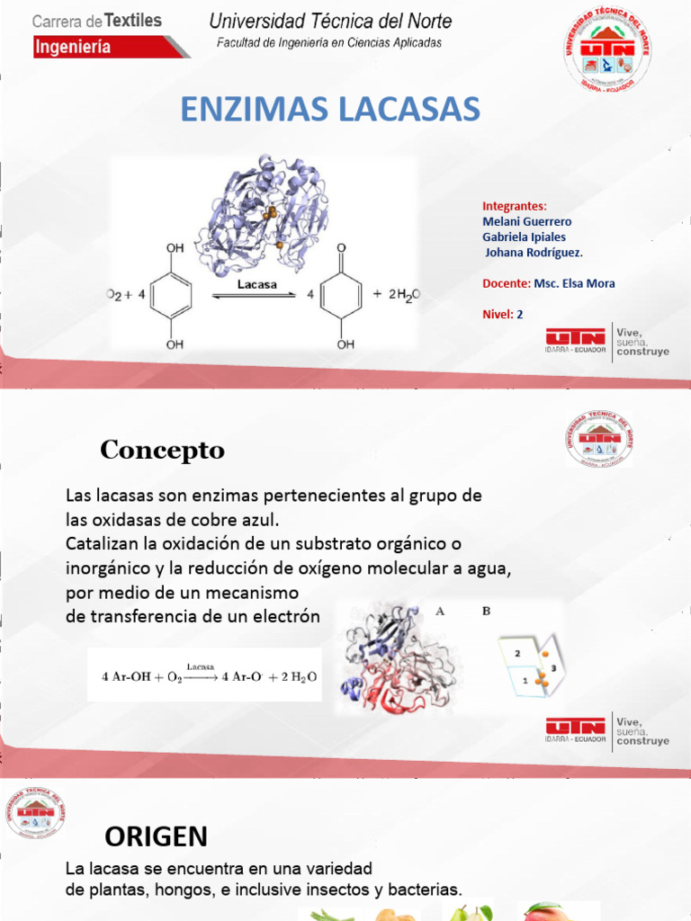 Enzimas Lacasas: Funciones y Origen | PDF | Biomoléculas | Naturaleza