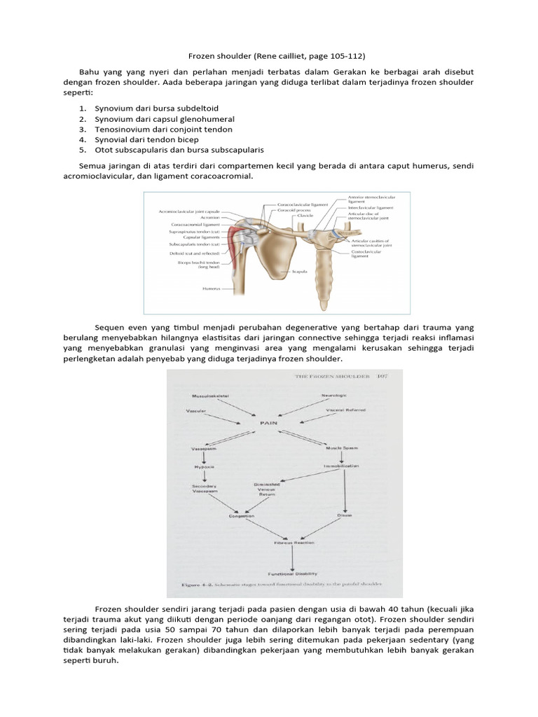 Understanding Frozen Shoulder Causes | PDF