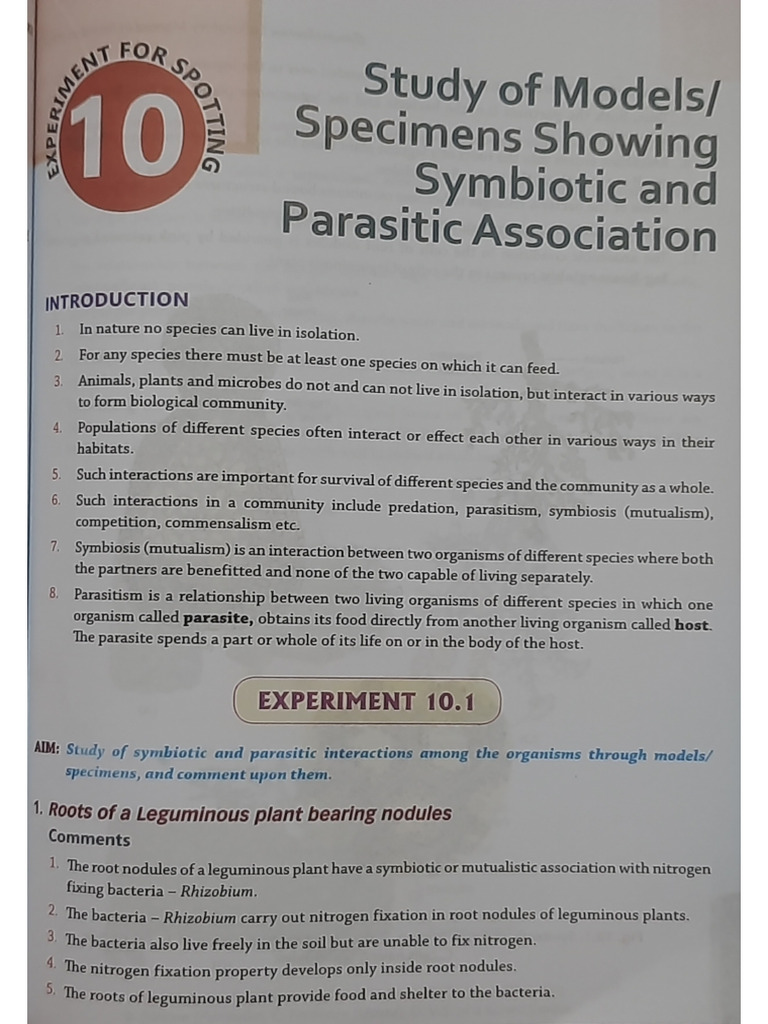 Bio XII-Spotting (10,11) | PDF