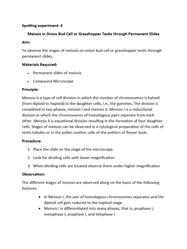 Spotting Experiment 4 | PDF | Meiosis | Cell Biology