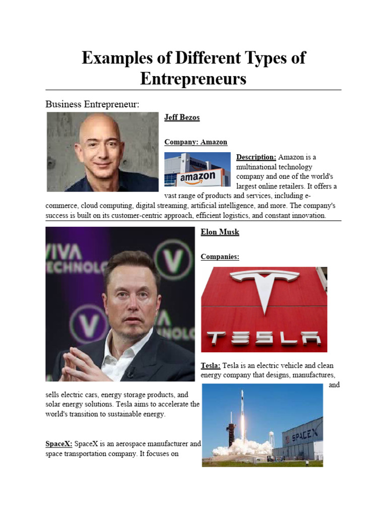 Examples of Different Types of Entrepreneurs | PDF | Entrepreneurship | Car