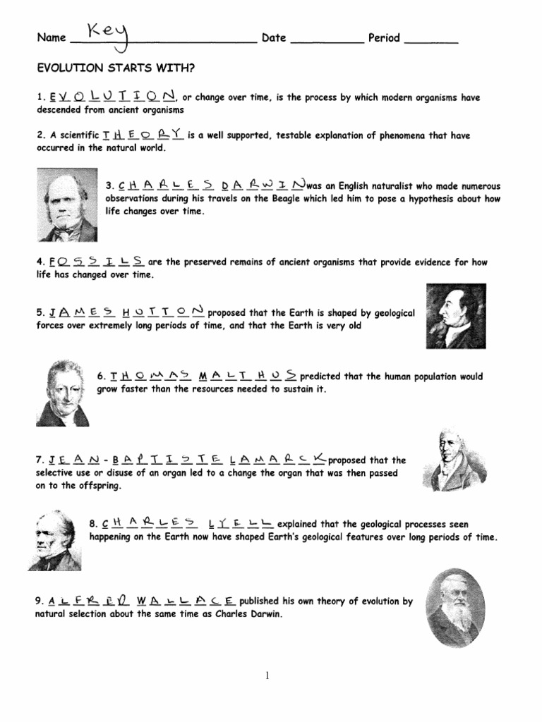 Evolution Review KEY | PDF