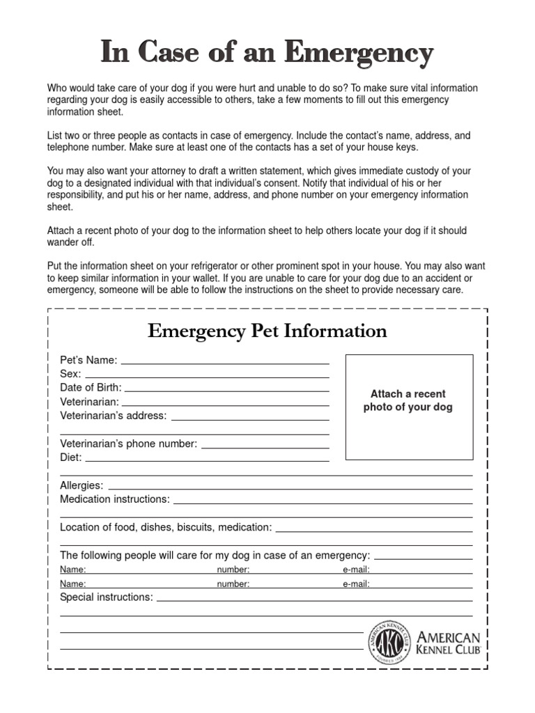 Emergency Pet Information Sheet | PDF | Law | Self-Improvement