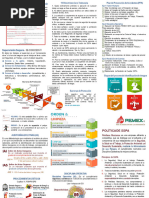 13 Directrices Cero Tolerancia | PDF