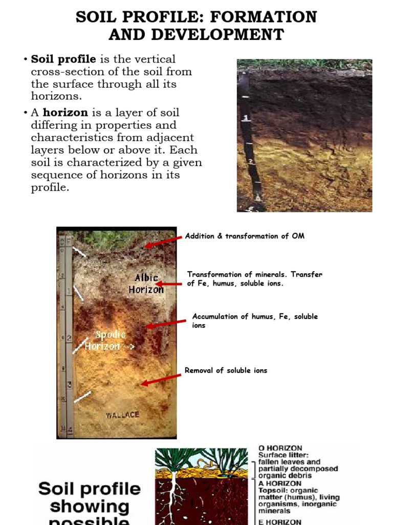 4.Soil-forming-process | PDF | Soil | Materials