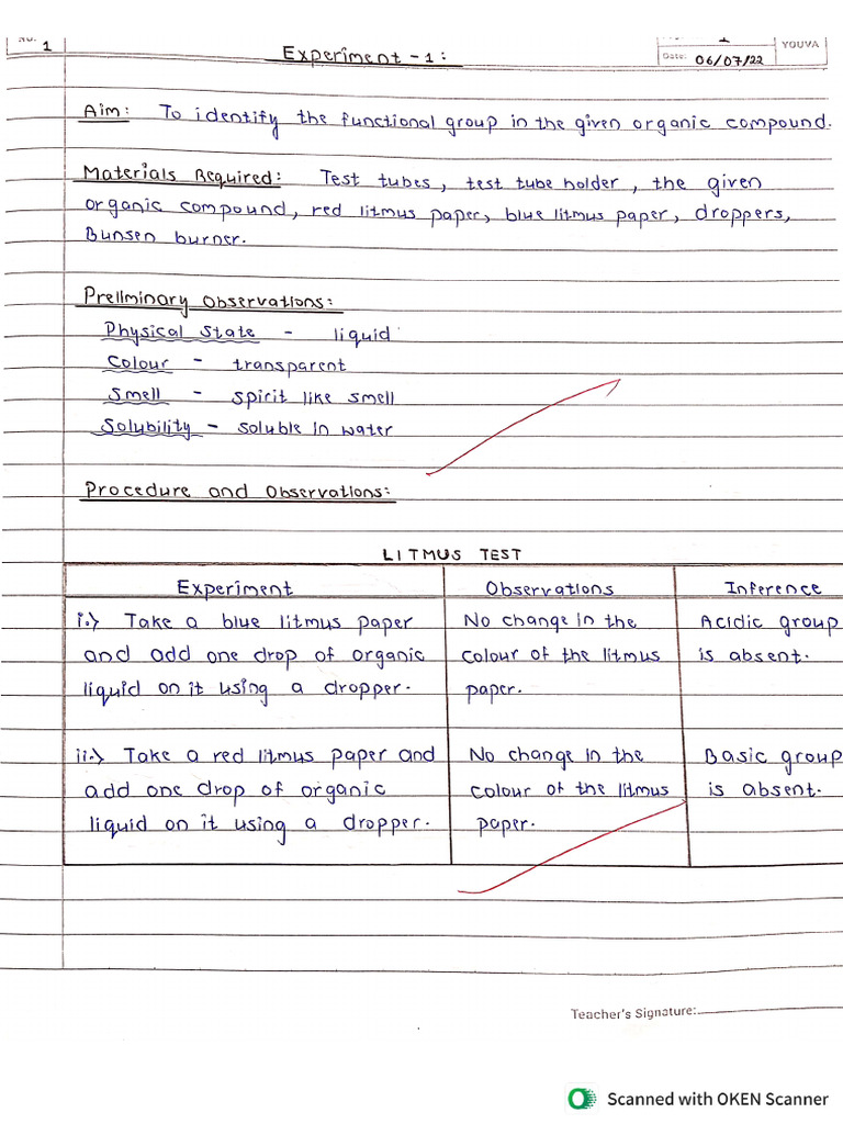 Alcohol Experiment | PDF
