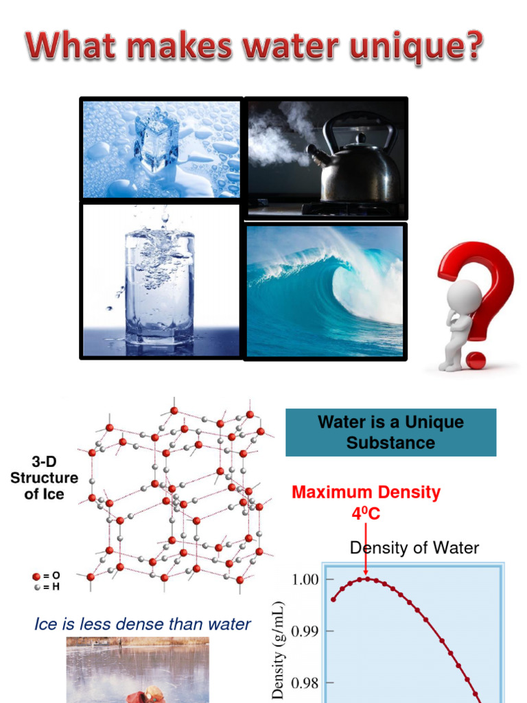 Unique Properties of Water Explained | PDF