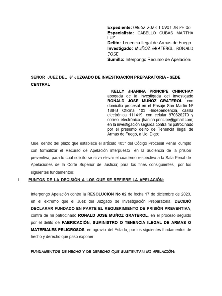 Modelo de Prision Preventiva | PDF